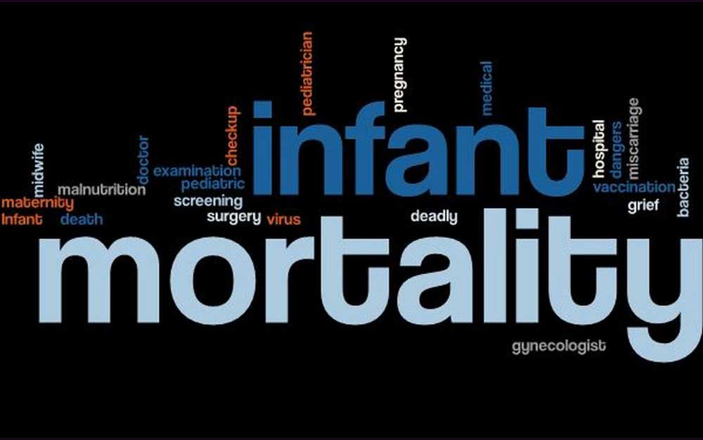 Estimating the Underlying Infant Mortality Rates for Small Populations ...